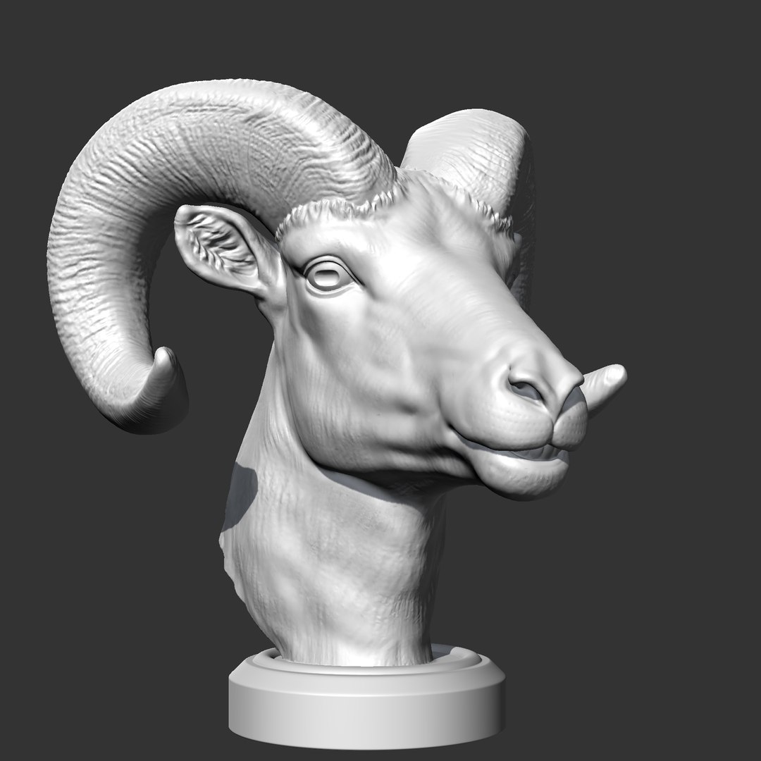 3D Bighorn Sheep Head AM34 3D Print Model - TurboSquid 2250933