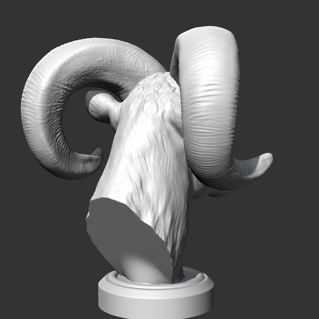 3D Bighorn Sheep Head AM34 3D Print Model - TurboSquid 2250933