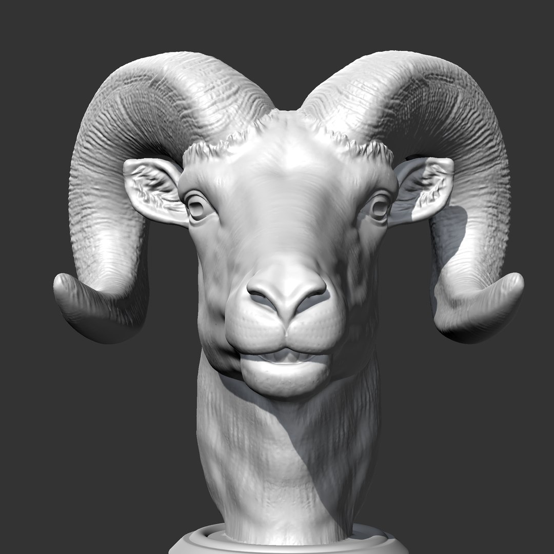 3D Bighorn Sheep Head AM34 3D Print Model - TurboSquid 2250933