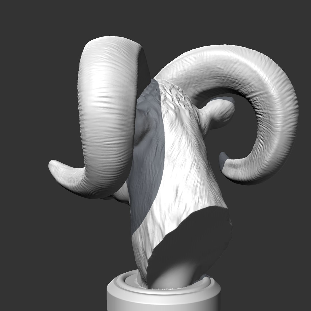 3D Bighorn Sheep Head AM34 3D Print Model - TurboSquid 2250933