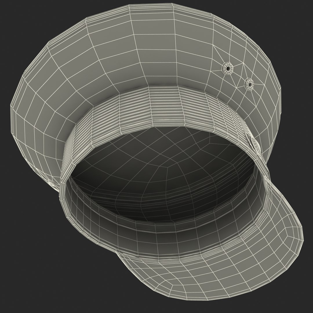 3d service cap model