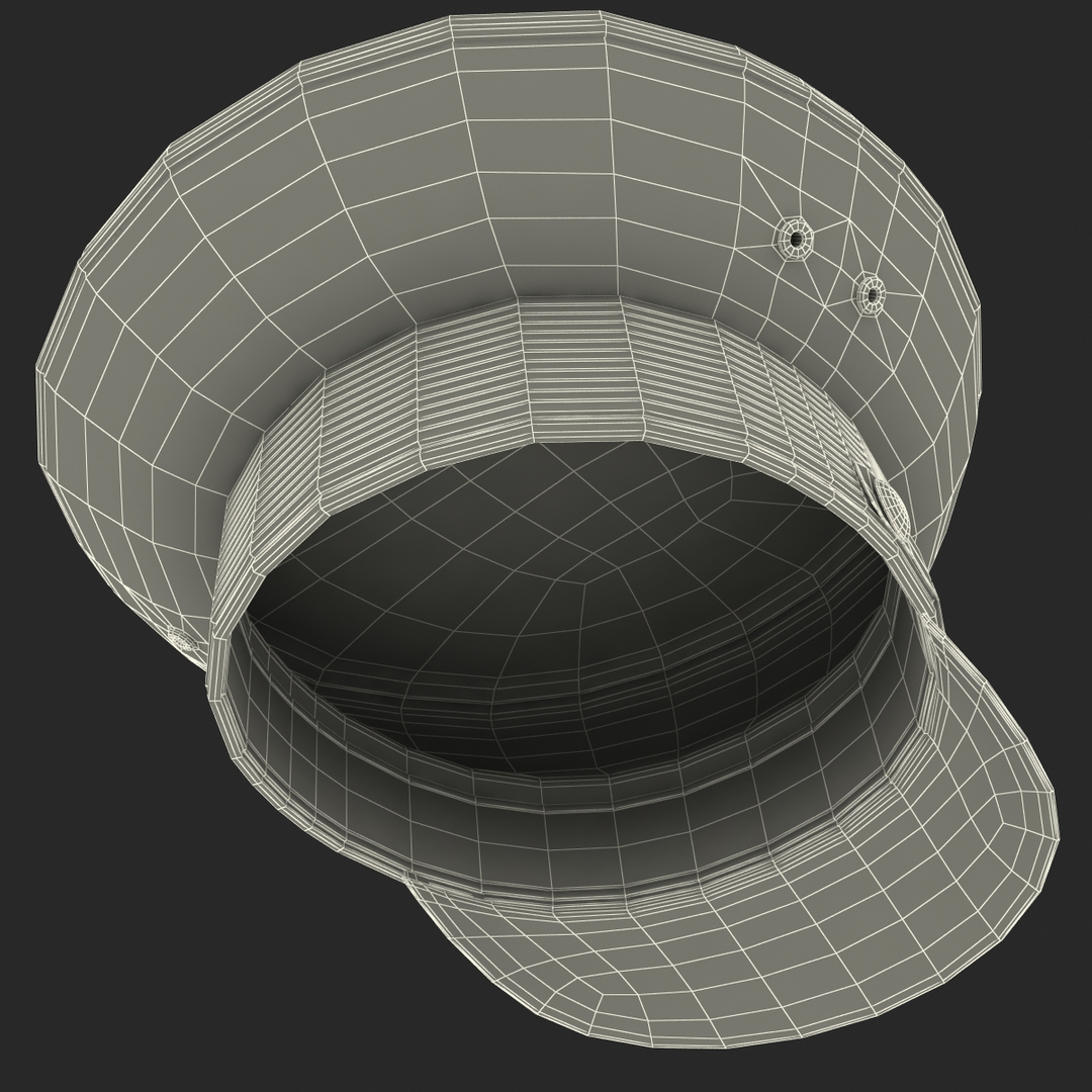 3d service cap model