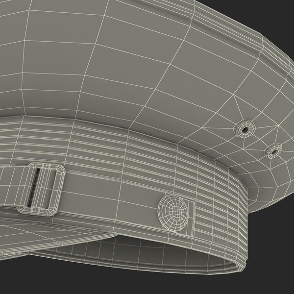3d service cap model