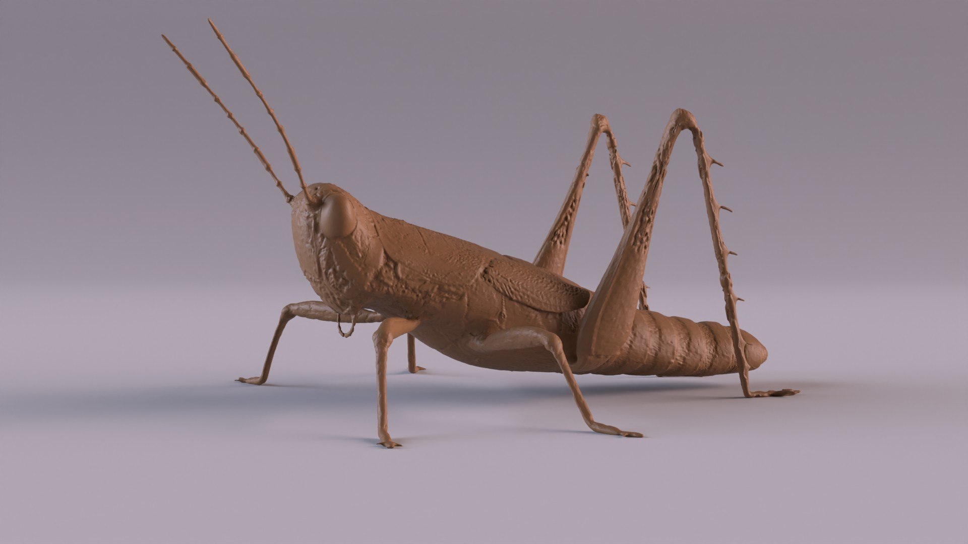 Insects Printable 3D Model - TurboSquid 2415692