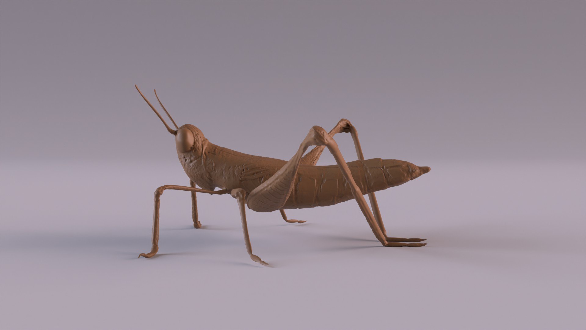 Insects Printable 3D Model - TurboSquid 2415692