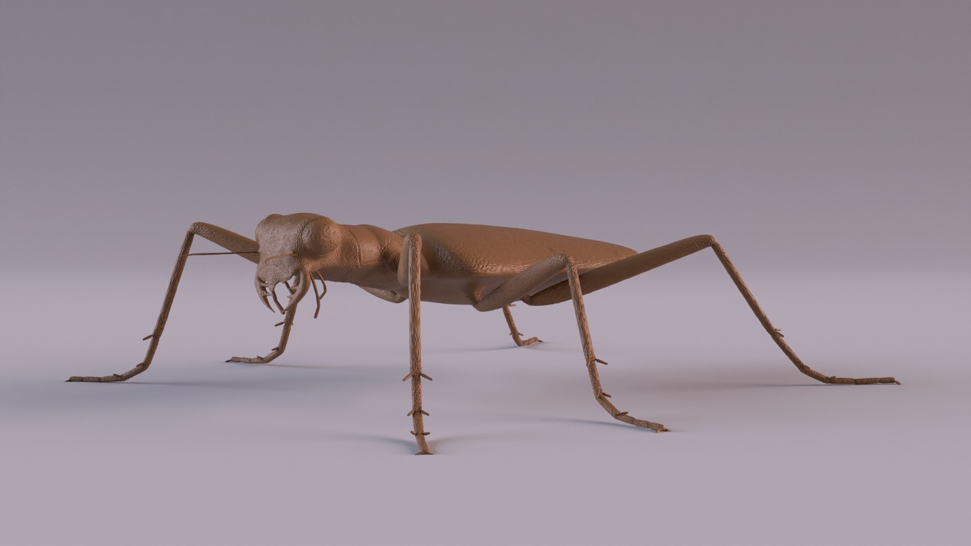 Insects Printable 3D Model - TurboSquid 2415692