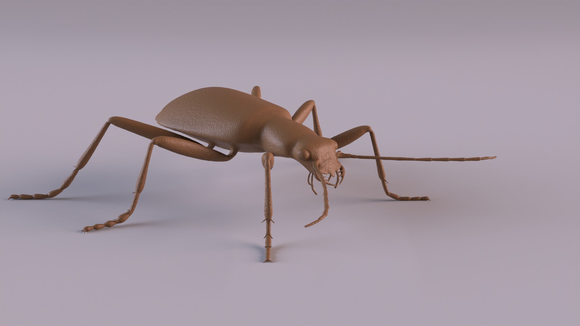 Insects Printable 3D Model - TurboSquid 2415692