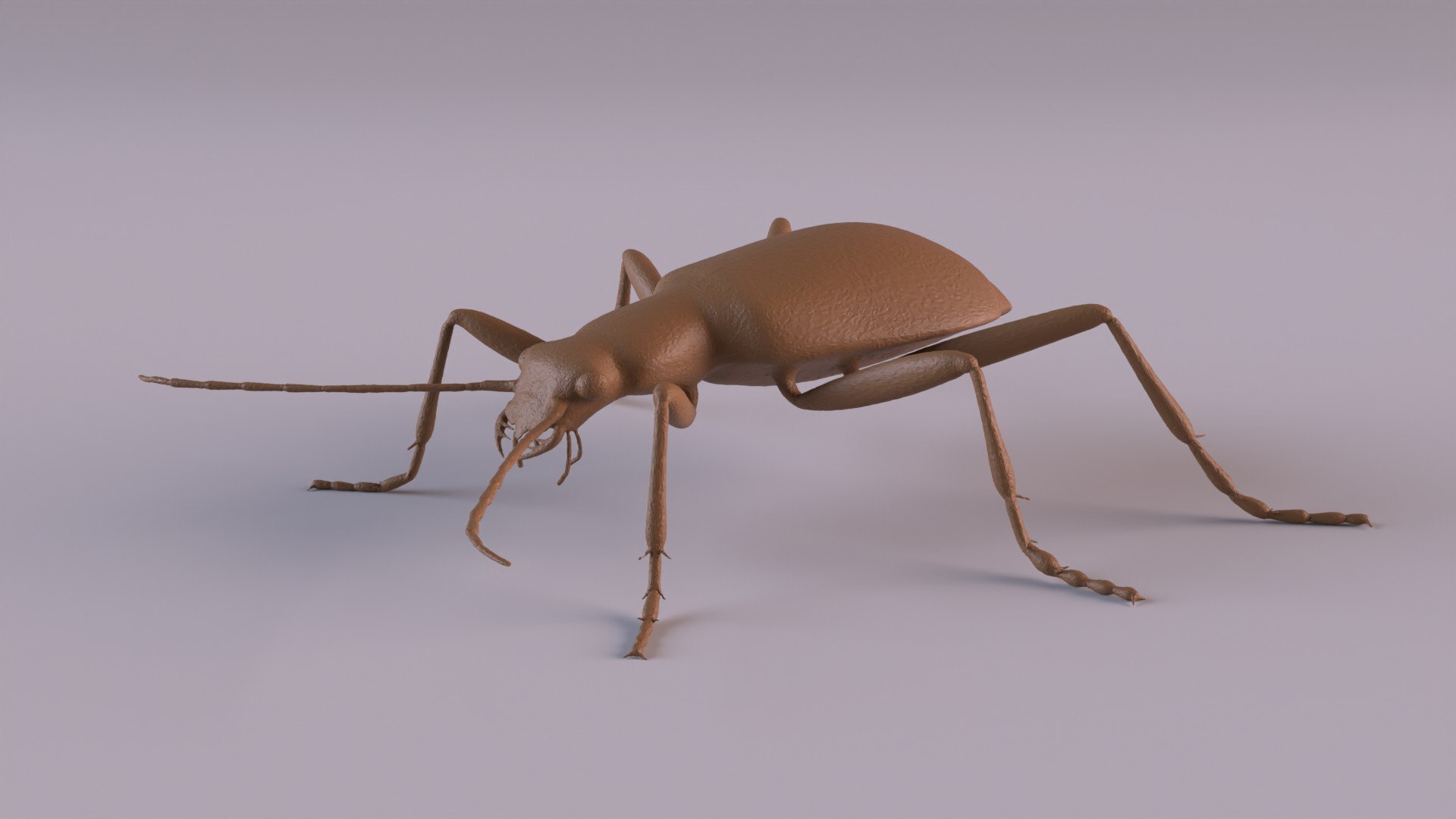 Insects Printable 3D Model - TurboSquid 2415692