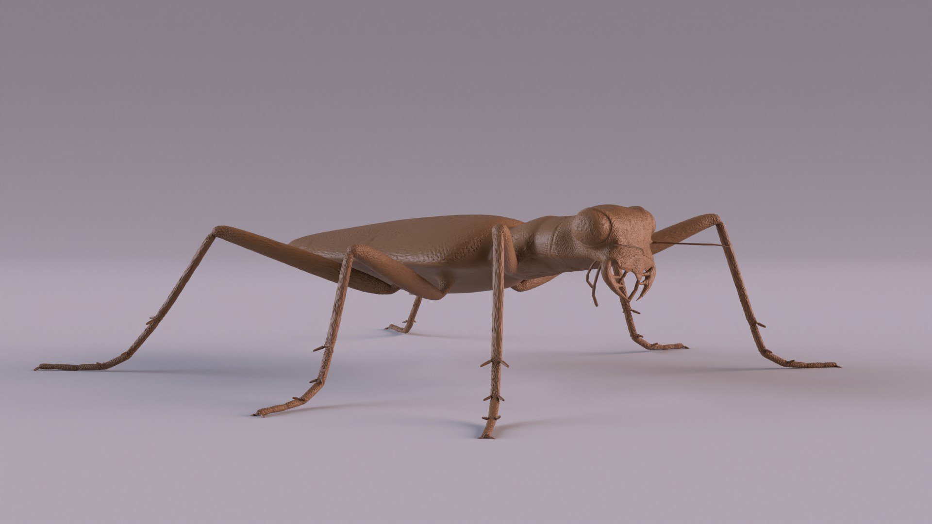 Insects Printable 3D Model - TurboSquid 2415692