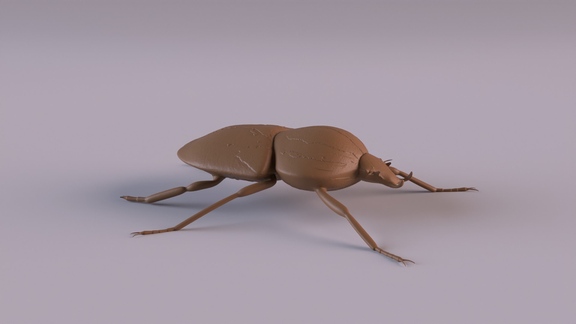 Insects Printable 3D Model - TurboSquid 2415692