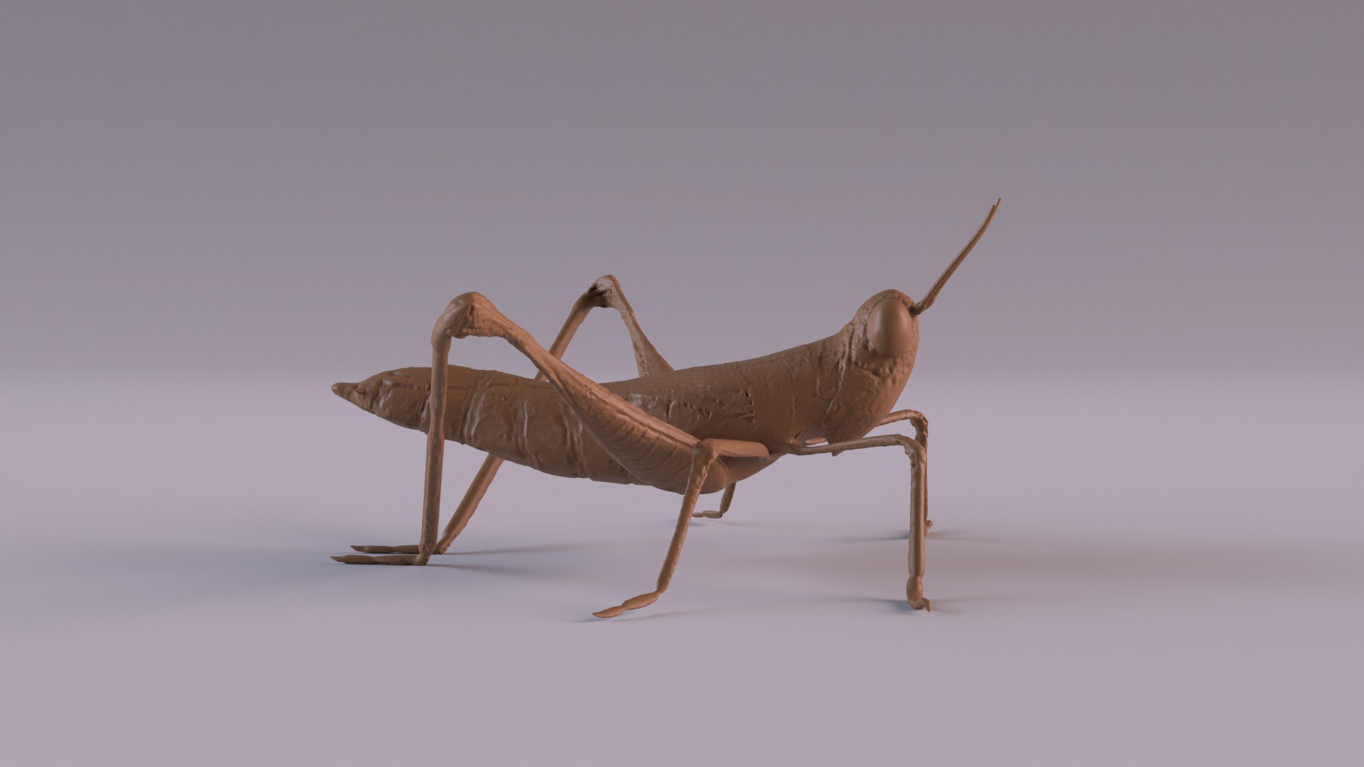 Insects Printable 3D Model - TurboSquid 2415692