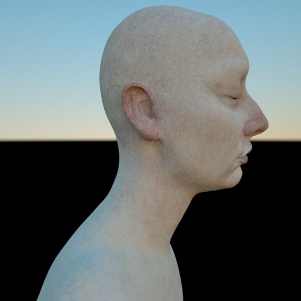 modelo 3d Modelo de cabeza femenina (Mia y sus hermanas) - TurboSquid ...