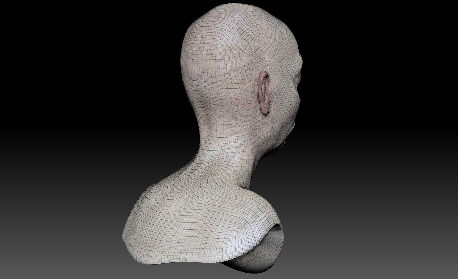 3D model female head pack mia - TurboSquid 1213307
