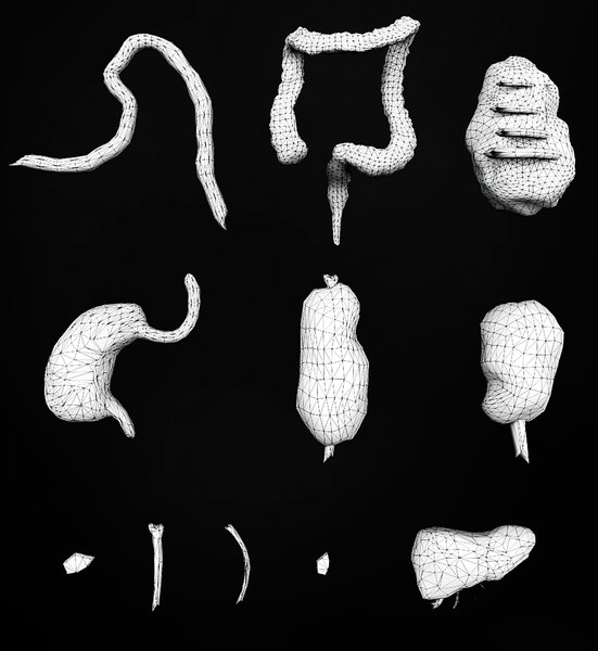 Blood Gore Internal Organs Low Poly 3D model - TurboSquid 1832294