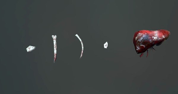 Blood Gore Internal Organs Low Poly 3D model - TurboSquid 1832294