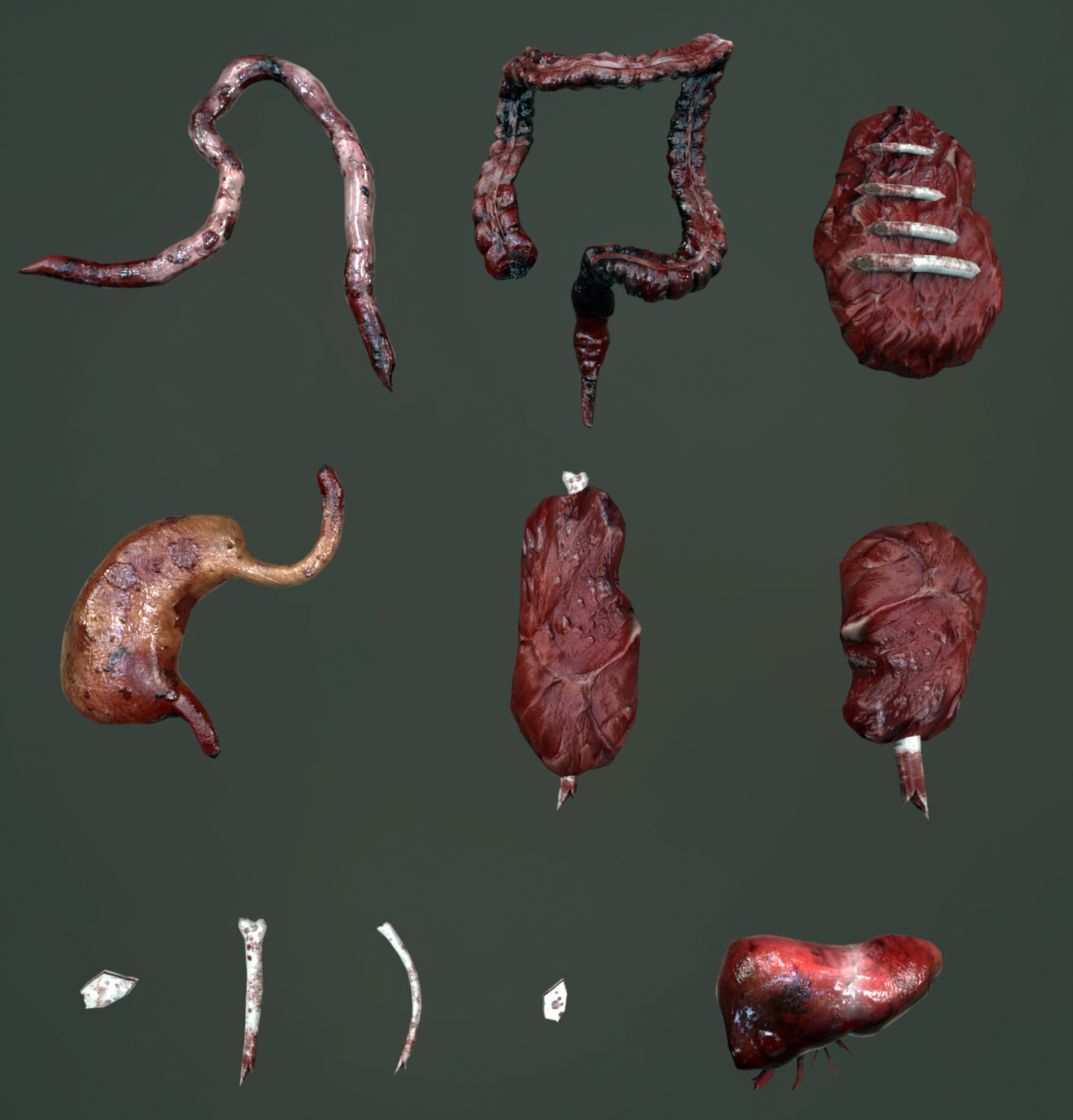 Blood Gore Internal Organs Low Poly 3D model - TurboSquid 1832294