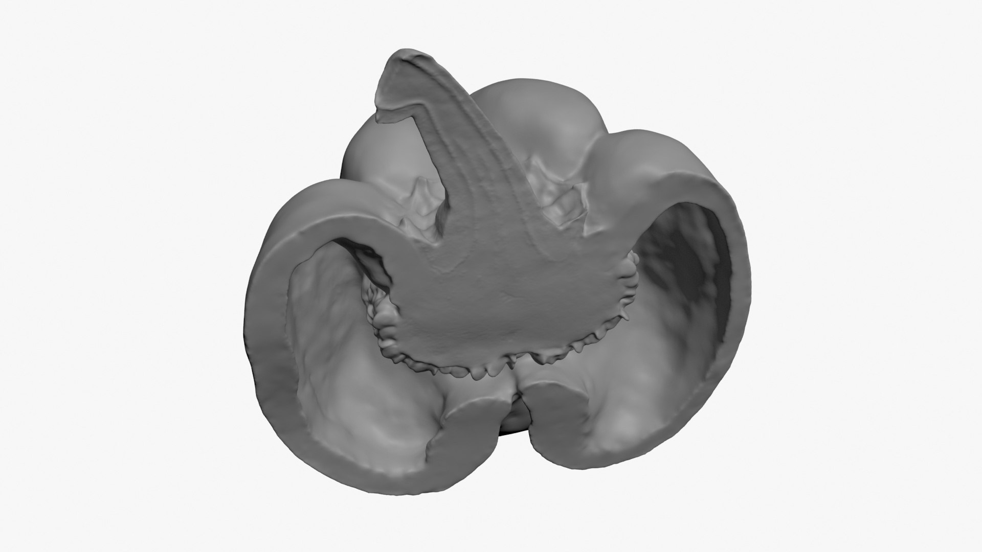 Bell Pepper Half Scan Model - TurboSquid 2262736