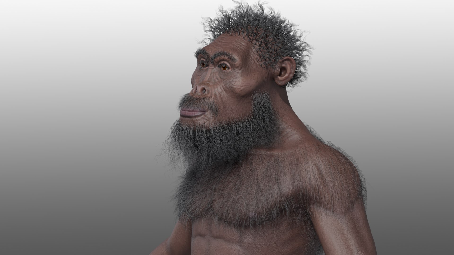 3D Australopithecus Afarensis Model - TurboSquid 2314984