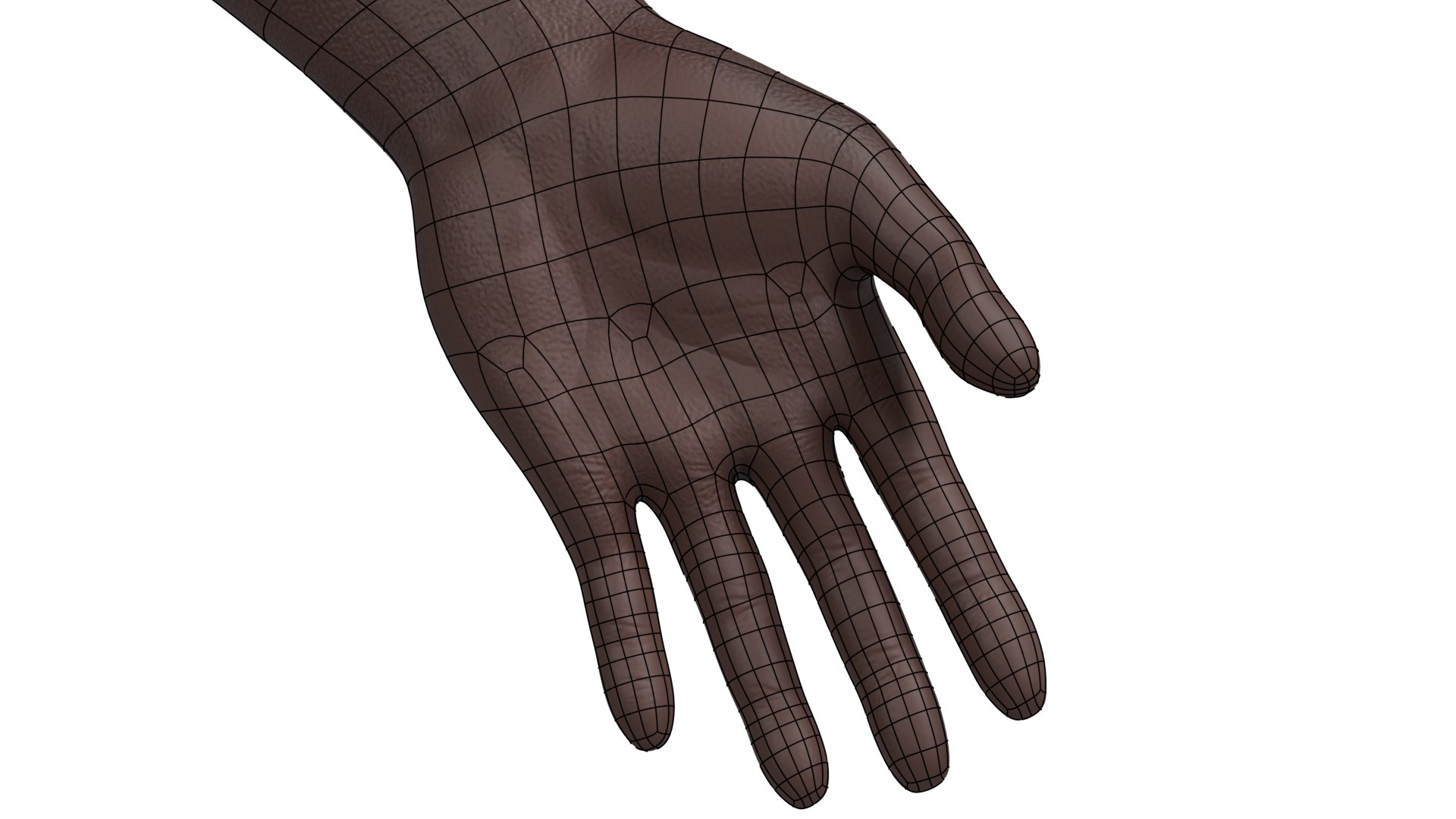 3D Australopithecus Afarensis Model - TurboSquid 2314984