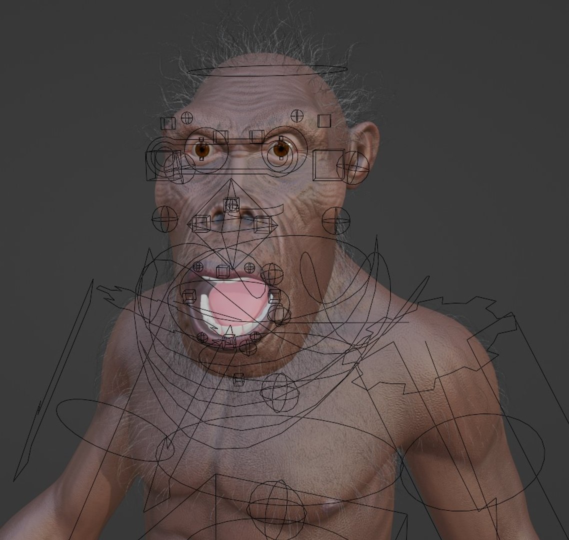 3D Australopithecus Afarensis Model - TurboSquid 2314984