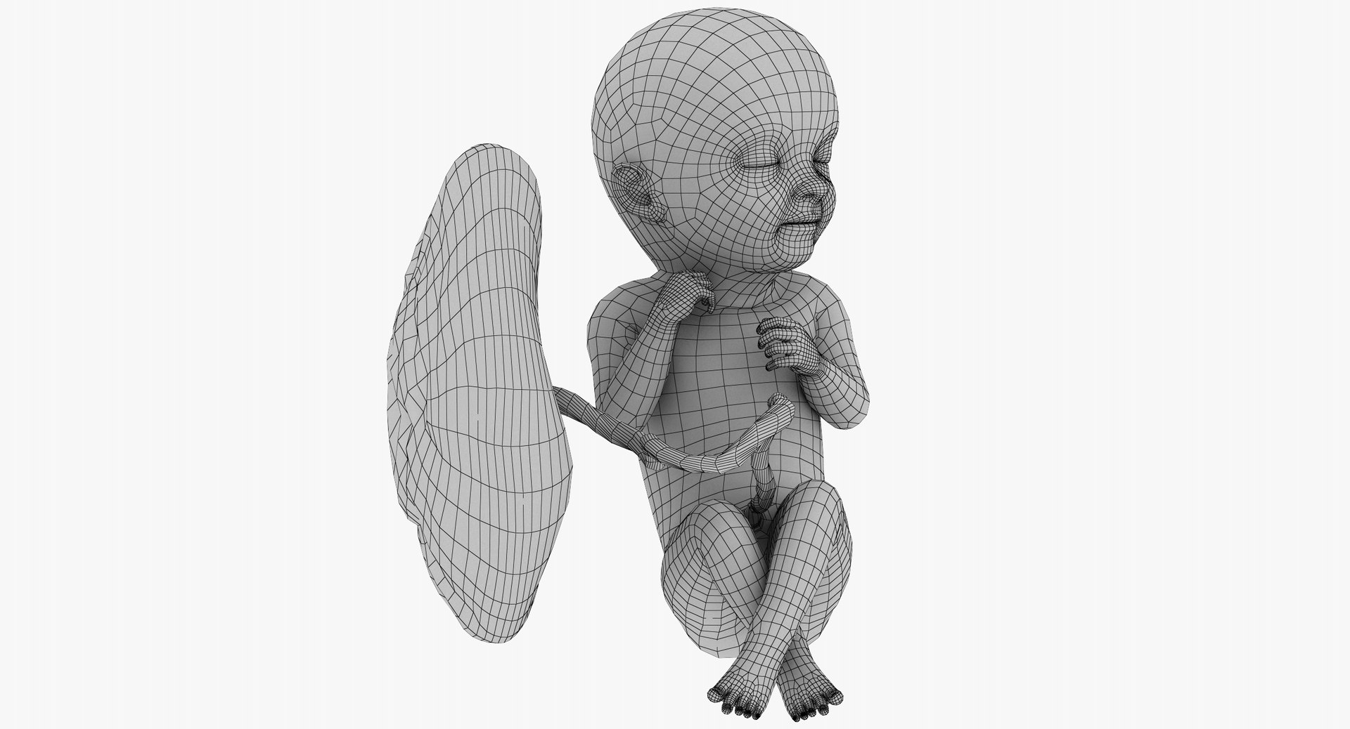 3D Fetus Week 33 - TurboSquid 1224399