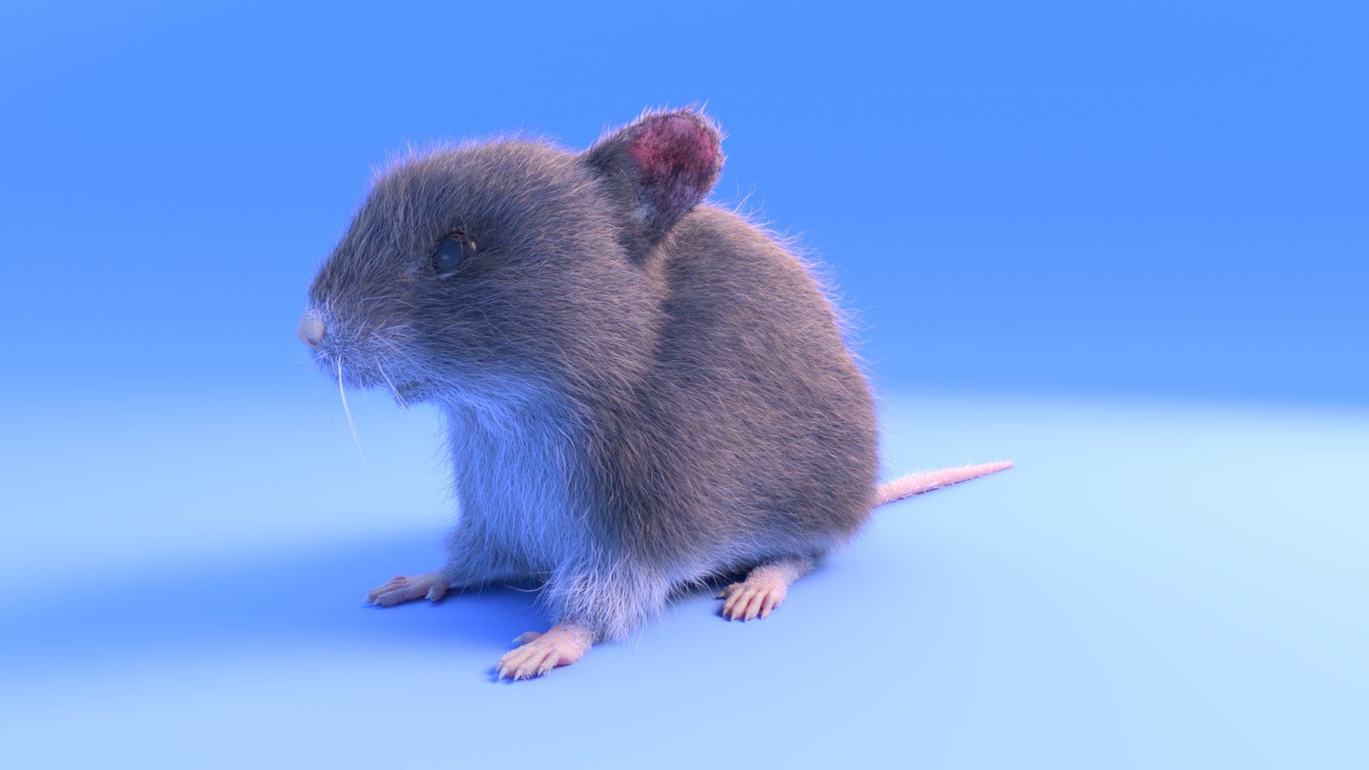 Realistic Brown Mouse - 3D Model - TurboSquid 1307654