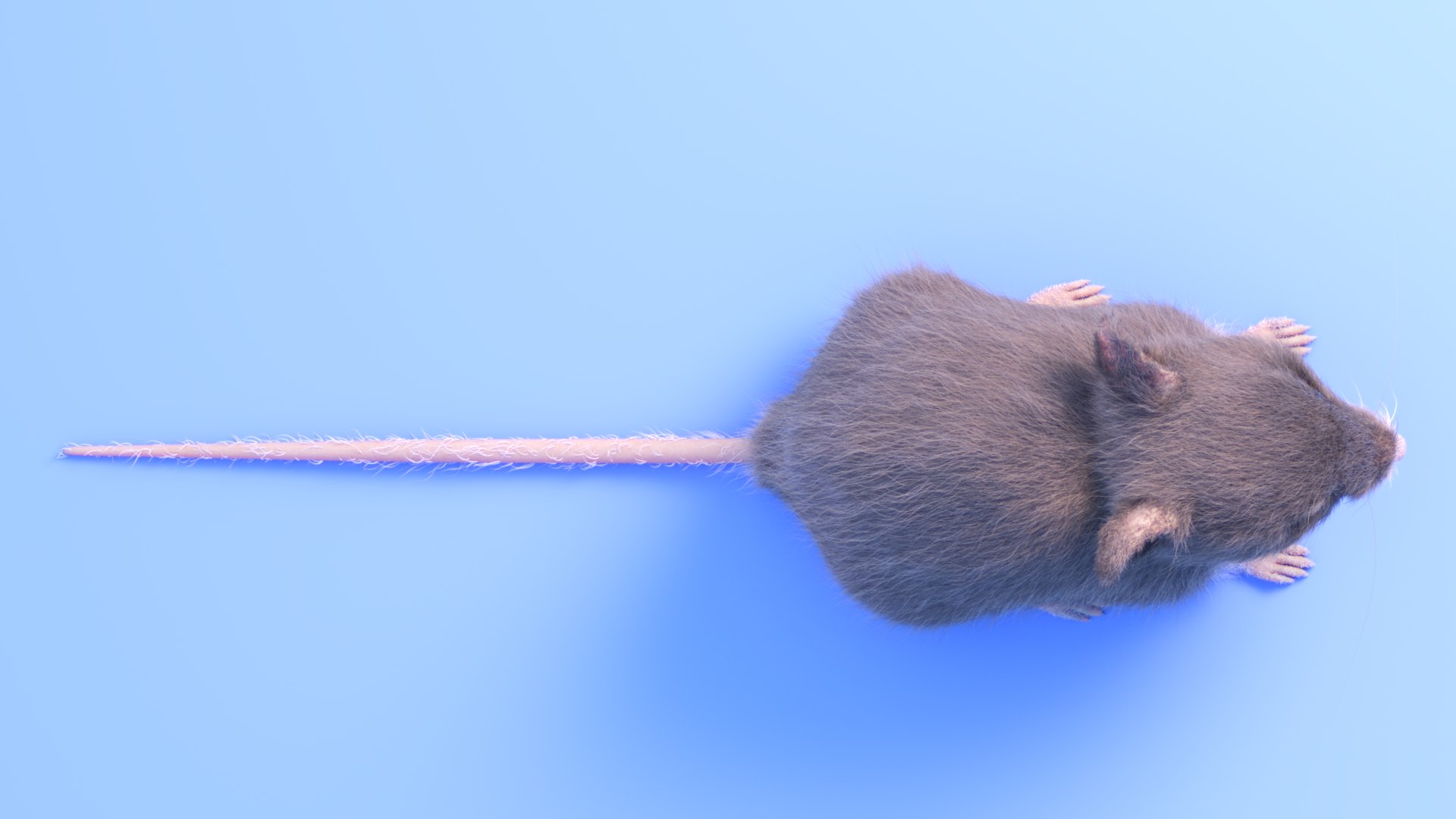 Realistic Brown Mouse - 3D Model - TurboSquid 1307654
