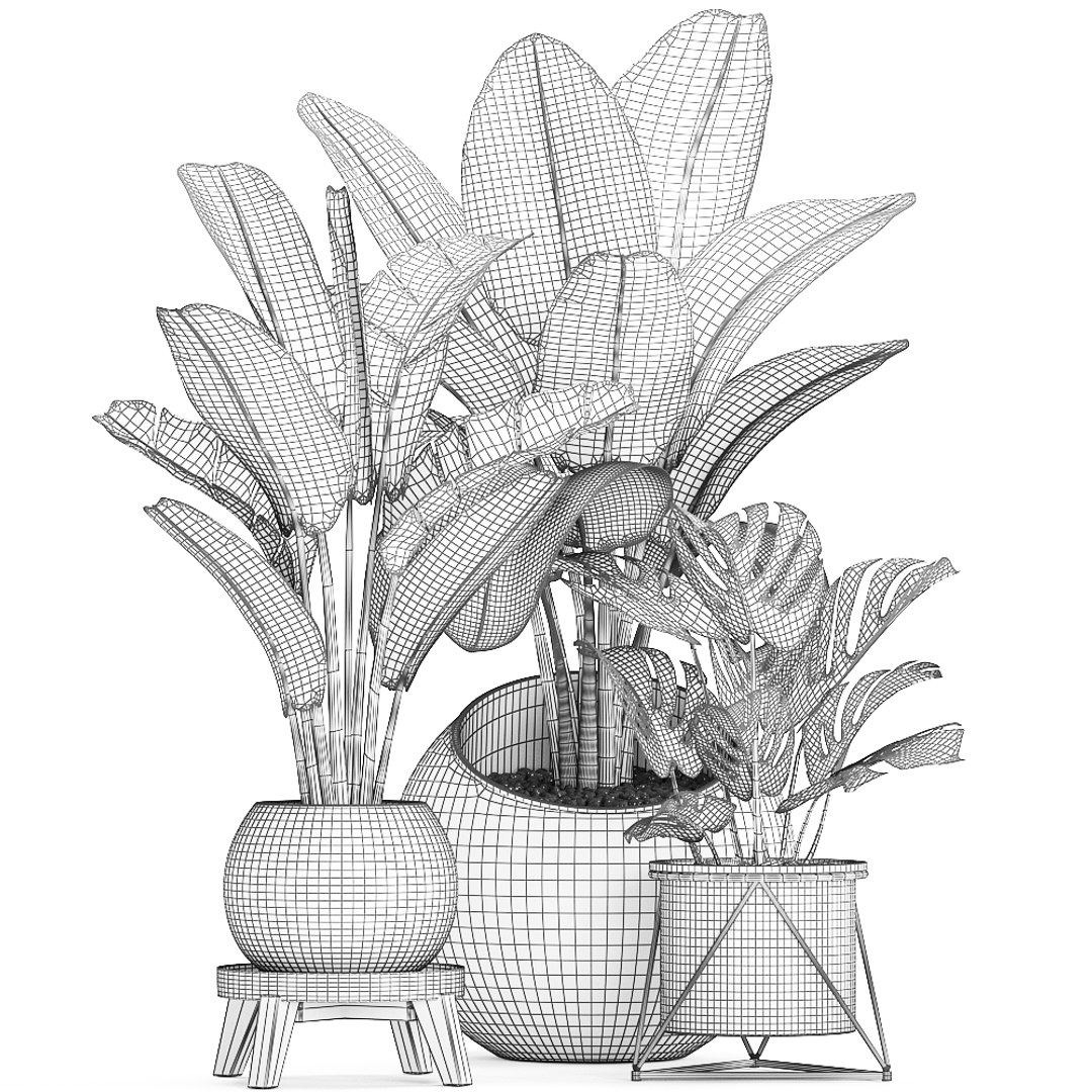 3D exotic plants - TurboSquid 1527425