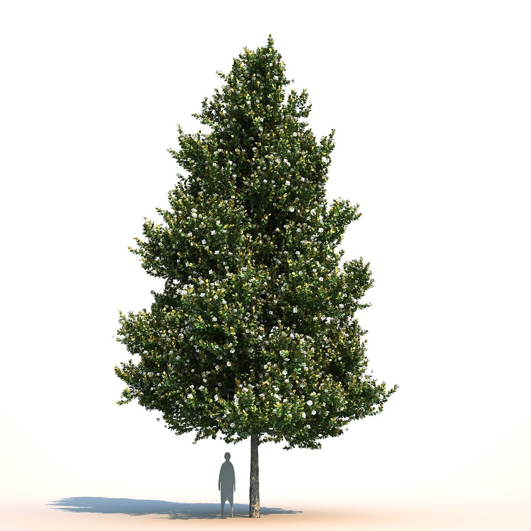 3D 4 Tree - TurboSquid 1171779