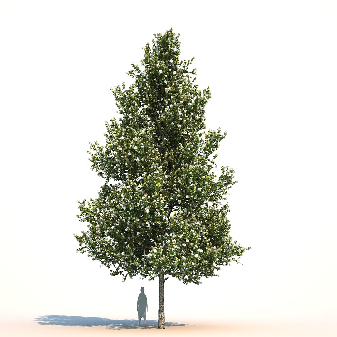 3D 4 Tree - TurboSquid 1171779