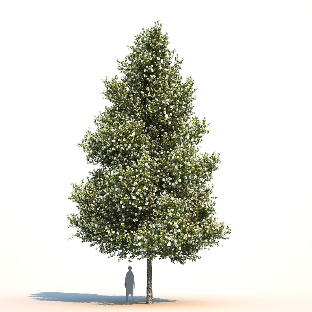 3D 4 Tree - TurboSquid 1171779