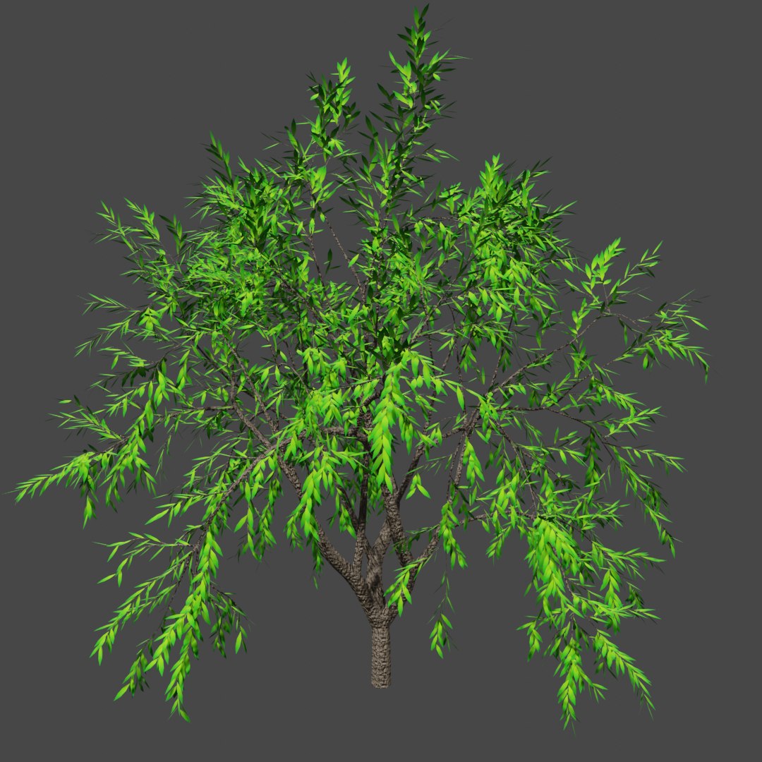 Tree Pbr 3D Model - TurboSquid 1527662