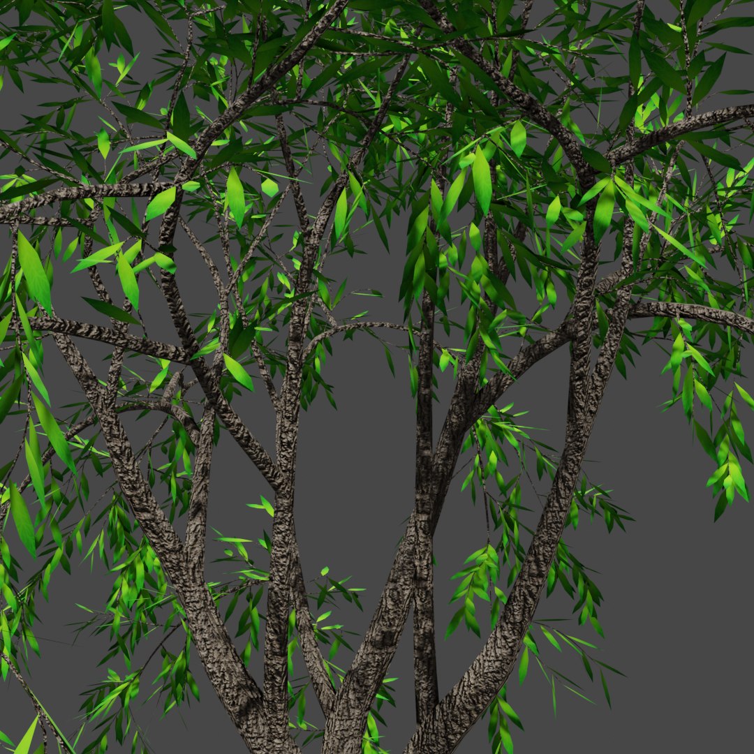 Tree Pbr 3D Model - TurboSquid 1527662