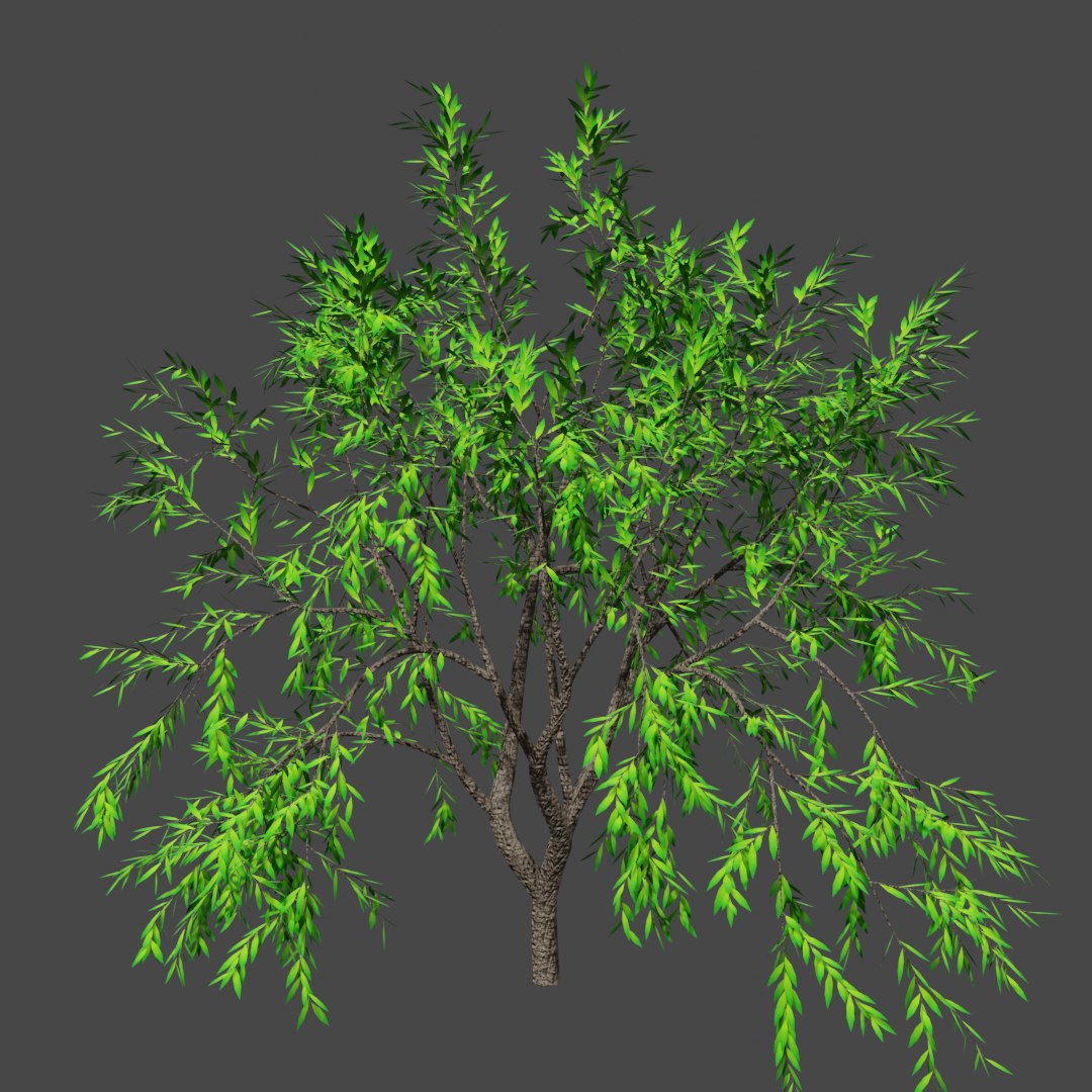 Tree Pbr 3D Model - TurboSquid 1527662