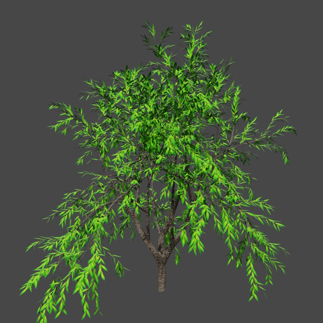 Tree Pbr 3D Model - TurboSquid 1527662