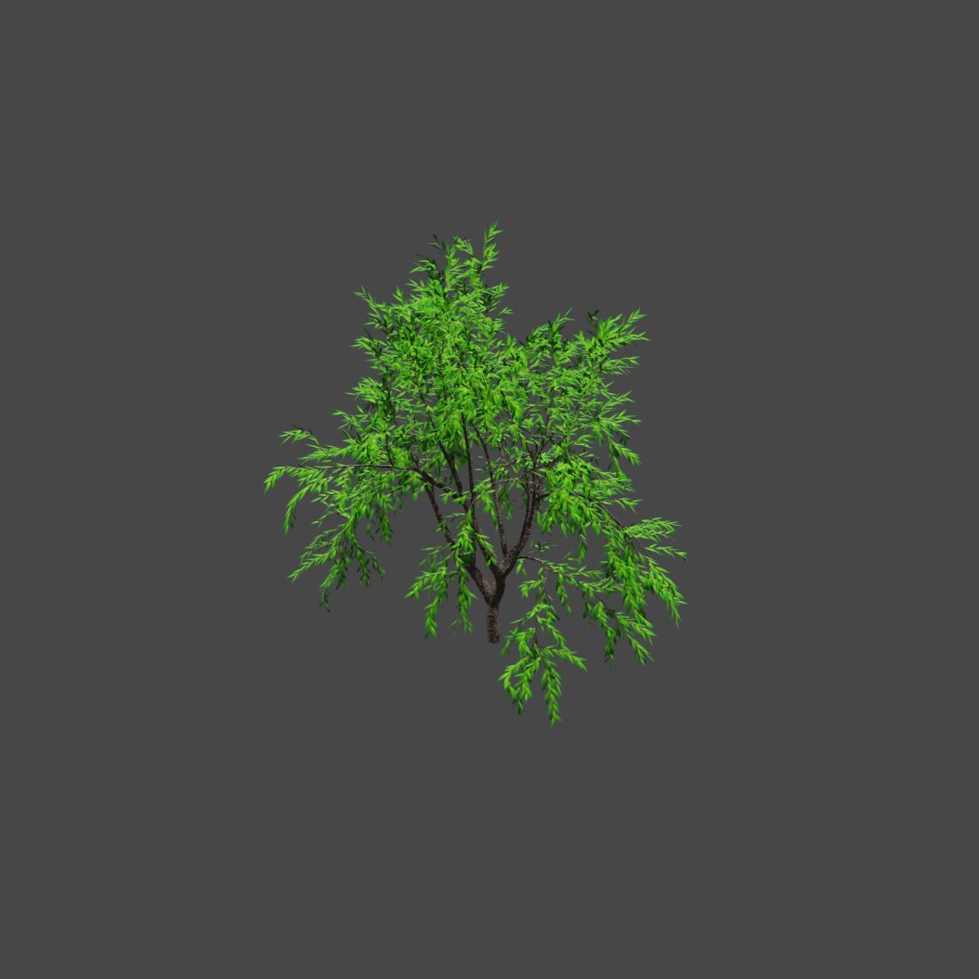 Tree Pbr 3D Model - TurboSquid 1527662