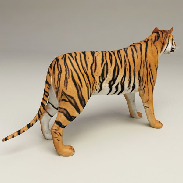 3d tiger modelled model