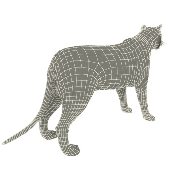 3d tiger modelled model