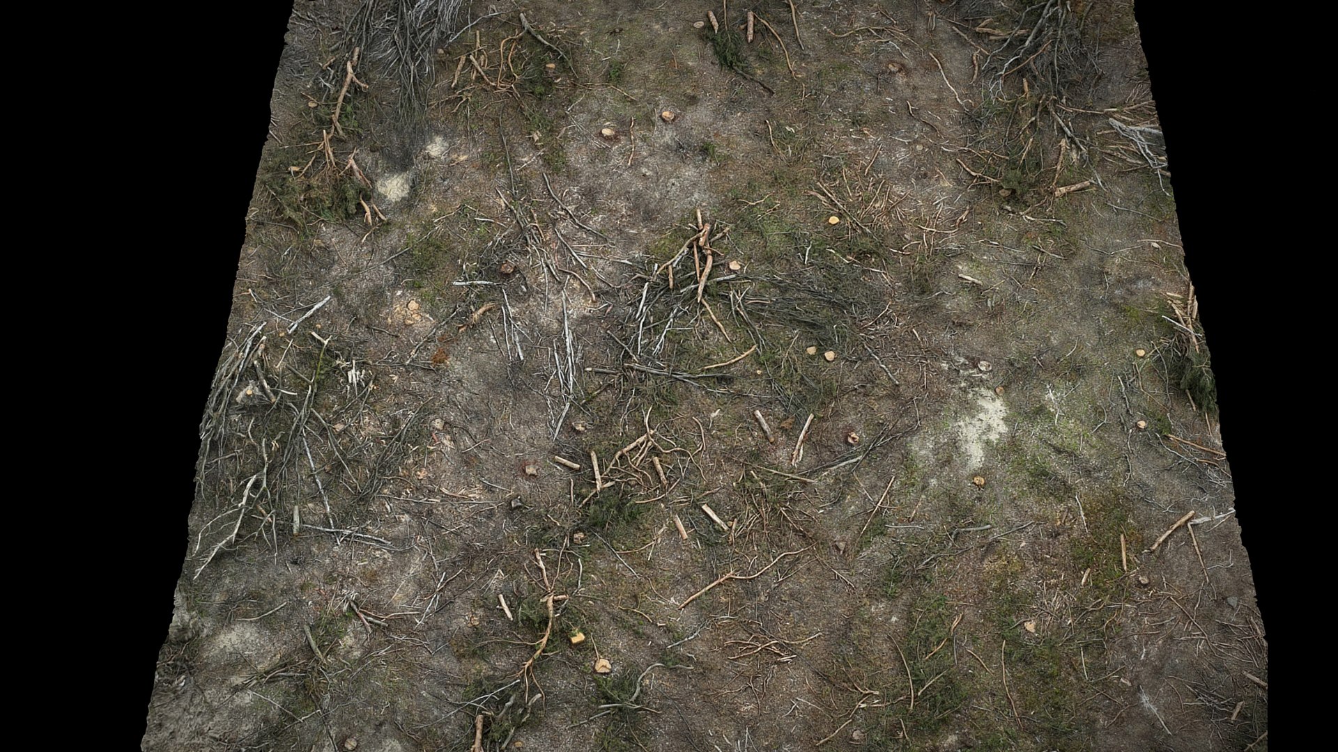 3D Forest Ground Cutted Trees Branches Photogrammetry Model ...