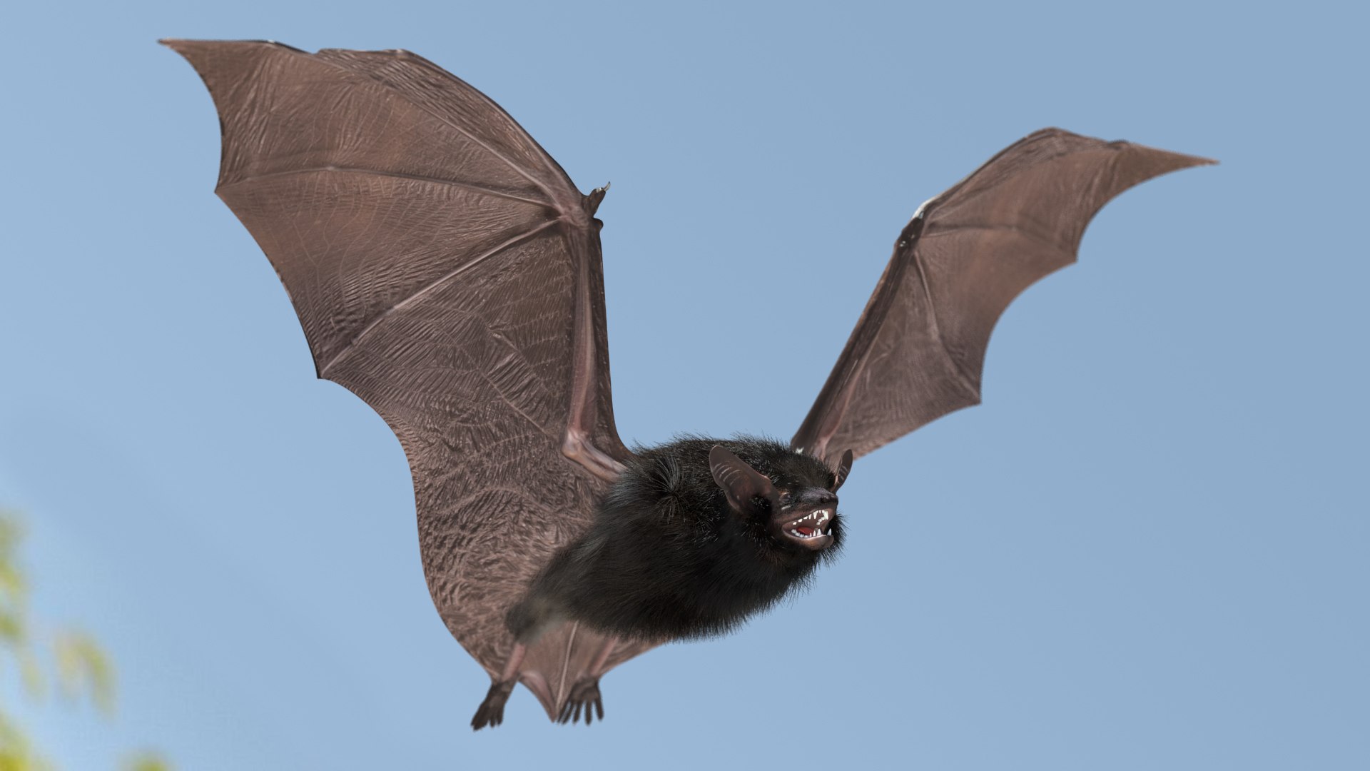 3D Flying Black Bat Fur - TurboSquid 1856506