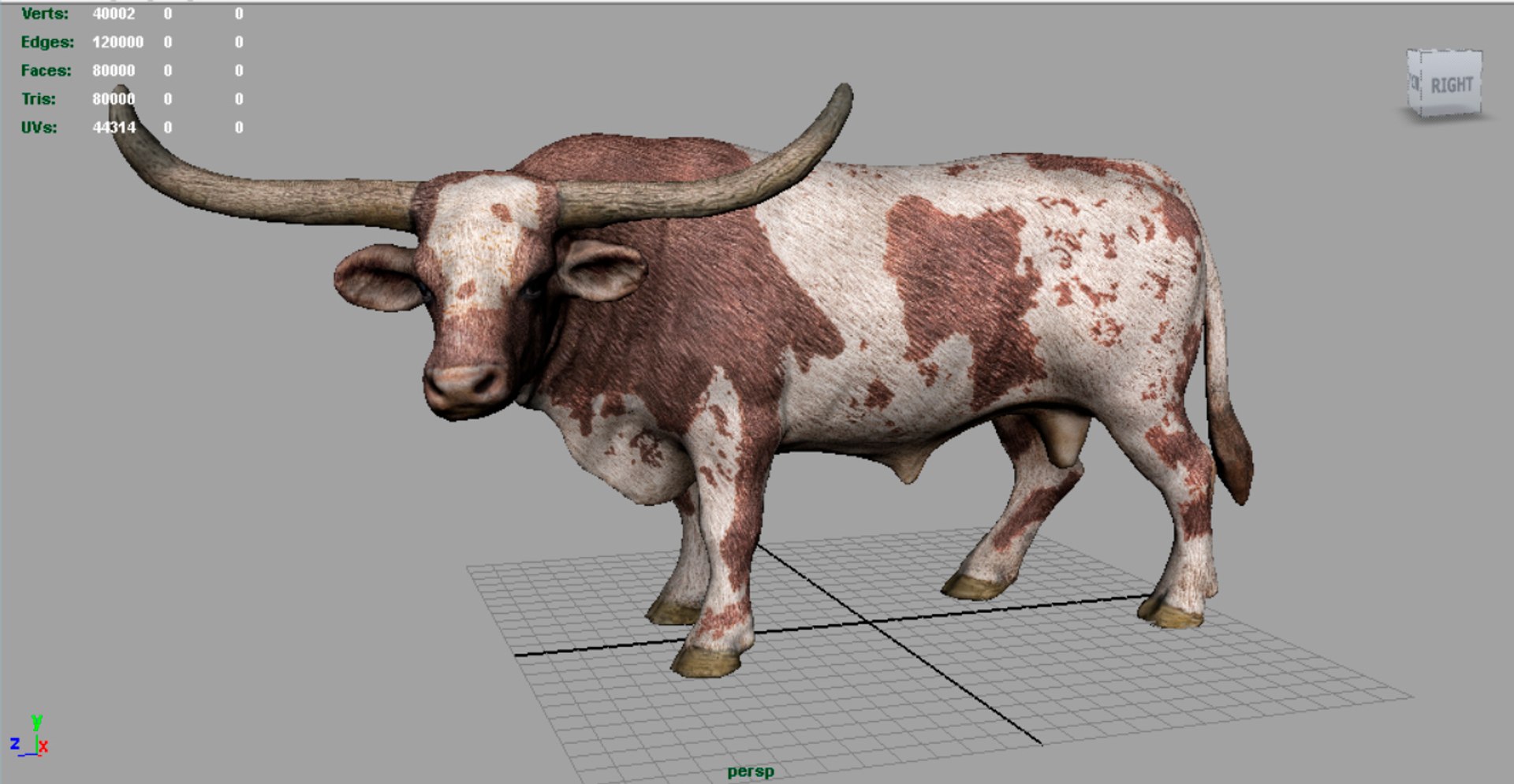3D Texas Longhorn | 1148102 | TurboSquid