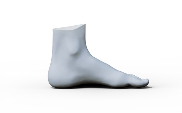 modelo 3d pies gratis - TurboSquid 1961027