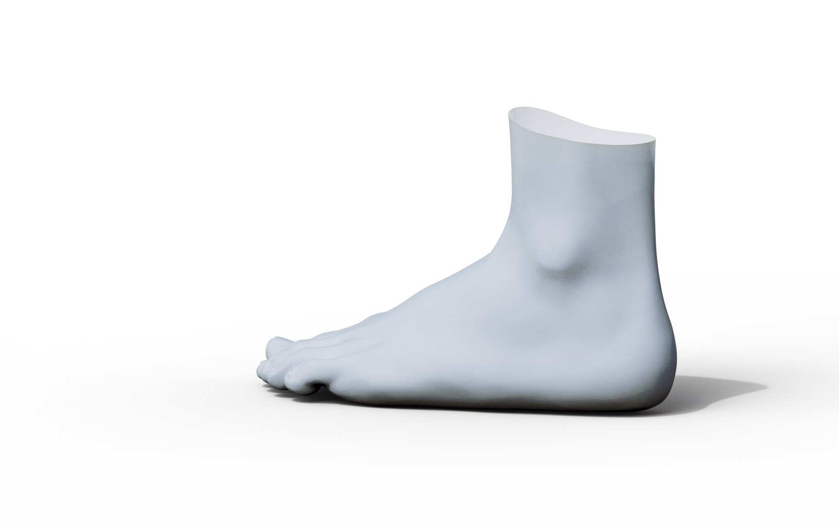 Feet 3D Model - TurboSquid 1961027