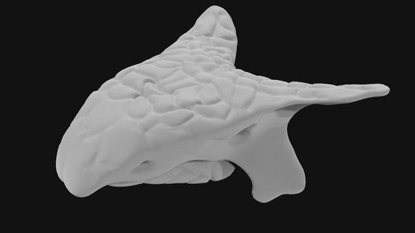 modelo 3d Ankylosaurus skull - TurboSquid 1969529