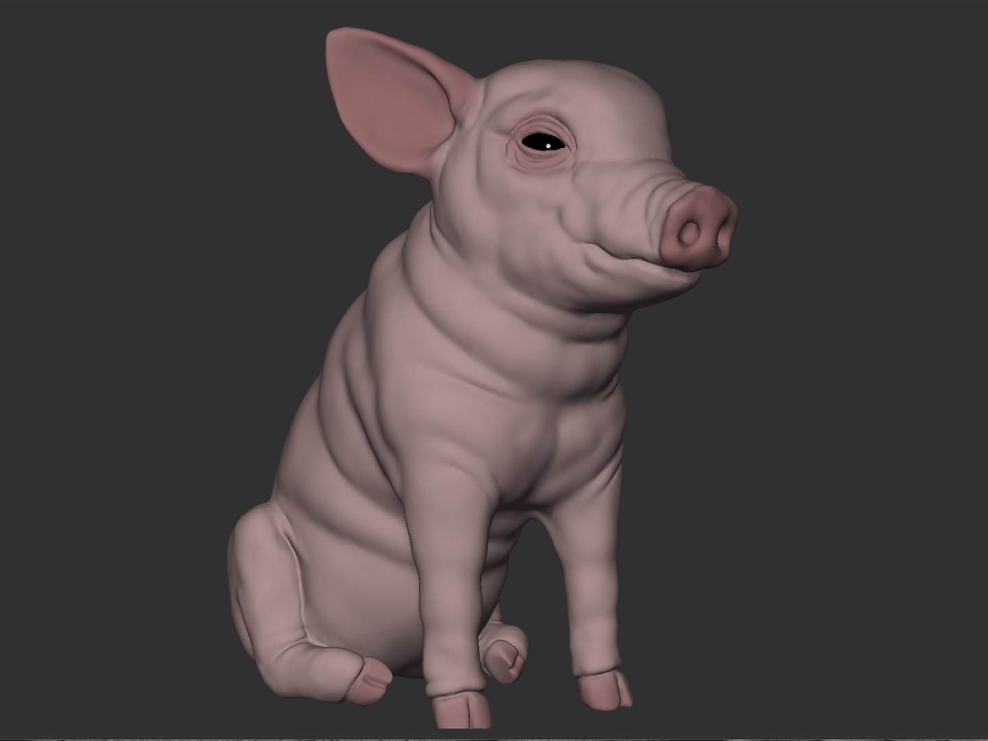 Cute Piglet 3D Print Model 3D Model - TurboSquid 2397227
