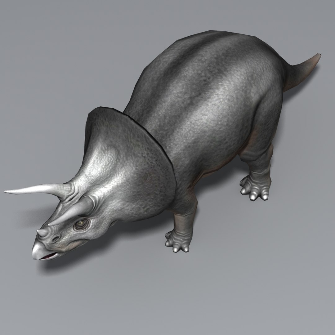 Max Triceratops Cretaceous Ceratopsidae Ceratopsid