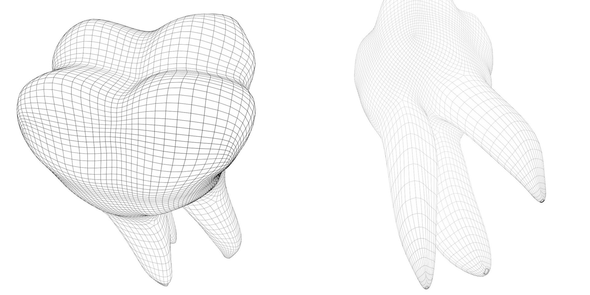 Stylized Human Second Molar 3D Model - TurboSquid 1374185