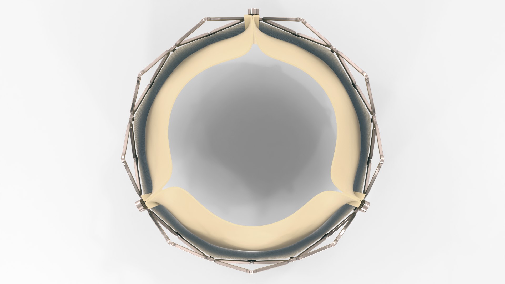 Heart Valve - Artificial Aortic Valve Implant 3D - TurboSquid 2026536