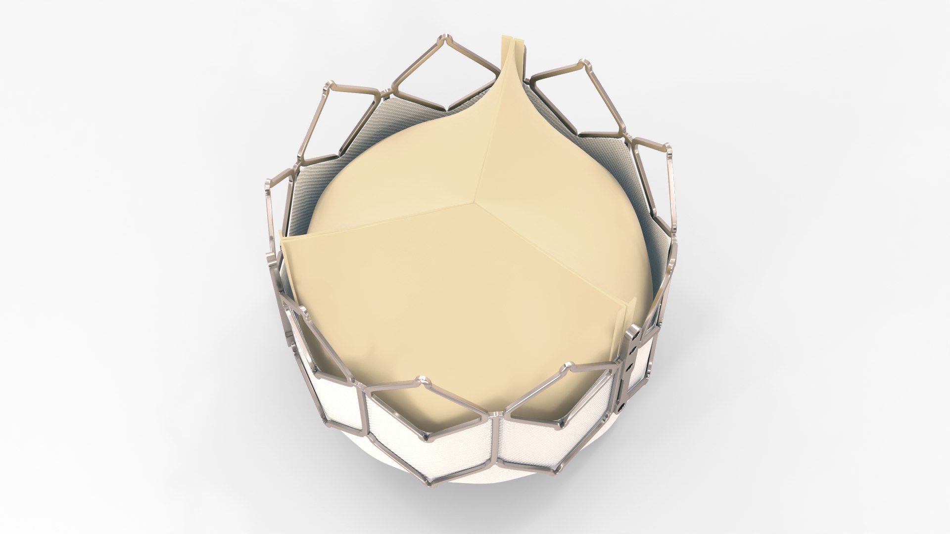 Heart Valve - Artificial Aortic Valve Implant 3D - TurboSquid 2026536