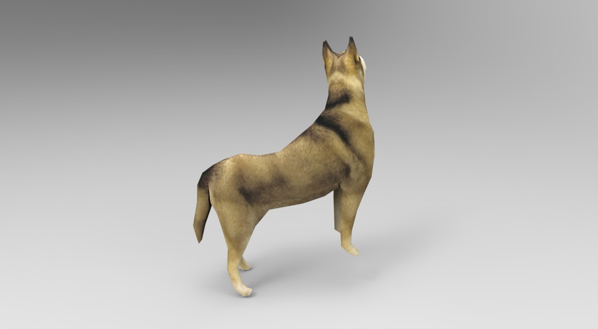 3D german shepherd dog rigged model | 1143696 | TurboSquid